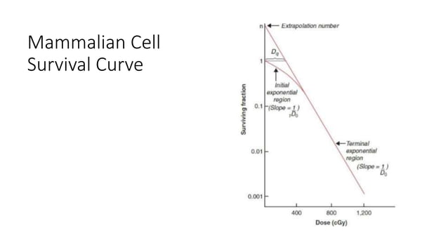 6th radiobiology- cell survival curves | PPTX | Cancer | Diseases and ...