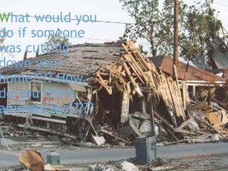 6th Amelia, Bryce, Kelly, Tanner | PPT | Geography | Science