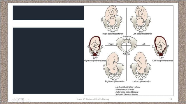 Mechanism of labour | PPTX
