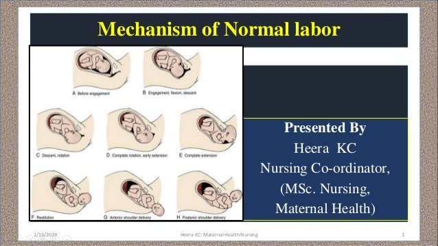 Mechanisms Of Labor