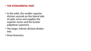 Sixth CRANIAL NERVE in ophthalmology.pptx