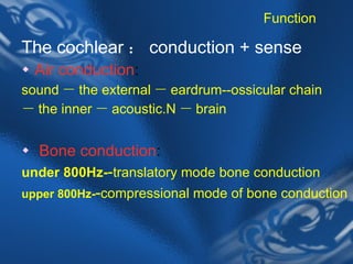 6 the ear | PPT