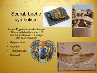Scarab Beetle Symbolism