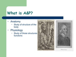 6)The Human Body | PPT