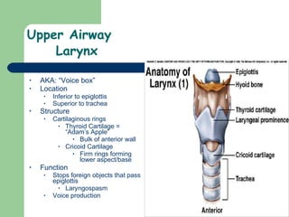 6)The Human Body | PPT