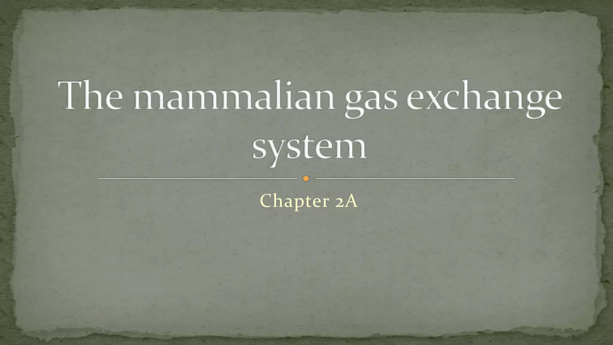 AS Biology - The mammalian gas exchange system | PPTX