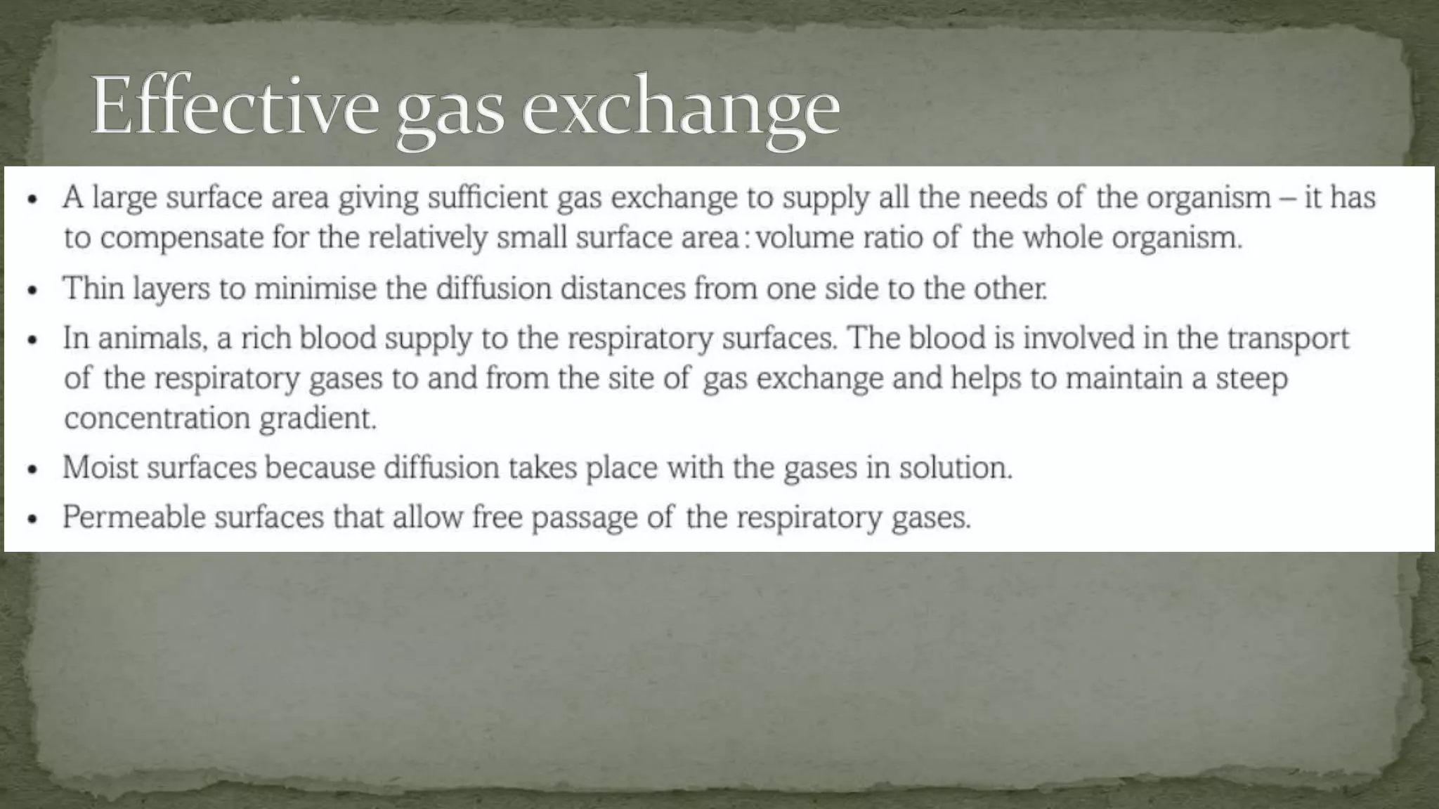 AS Biology - The mammalian gas exchange system | PPTX