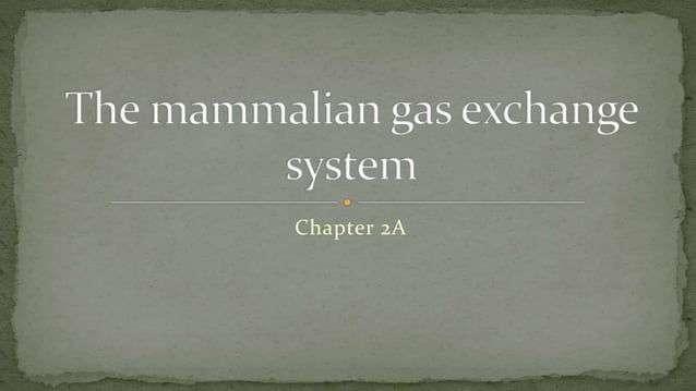 AS Biology - The mammalian gas exchange system | PPTX
