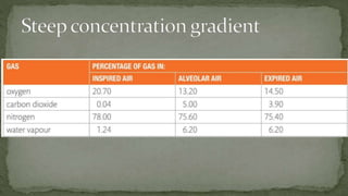 AS Biology - The mammalian gas exchange system | PPTX
