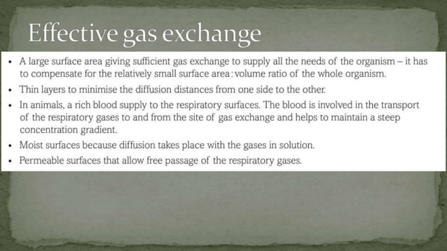 AS Biology - The mammalian gas exchange system | PPTX