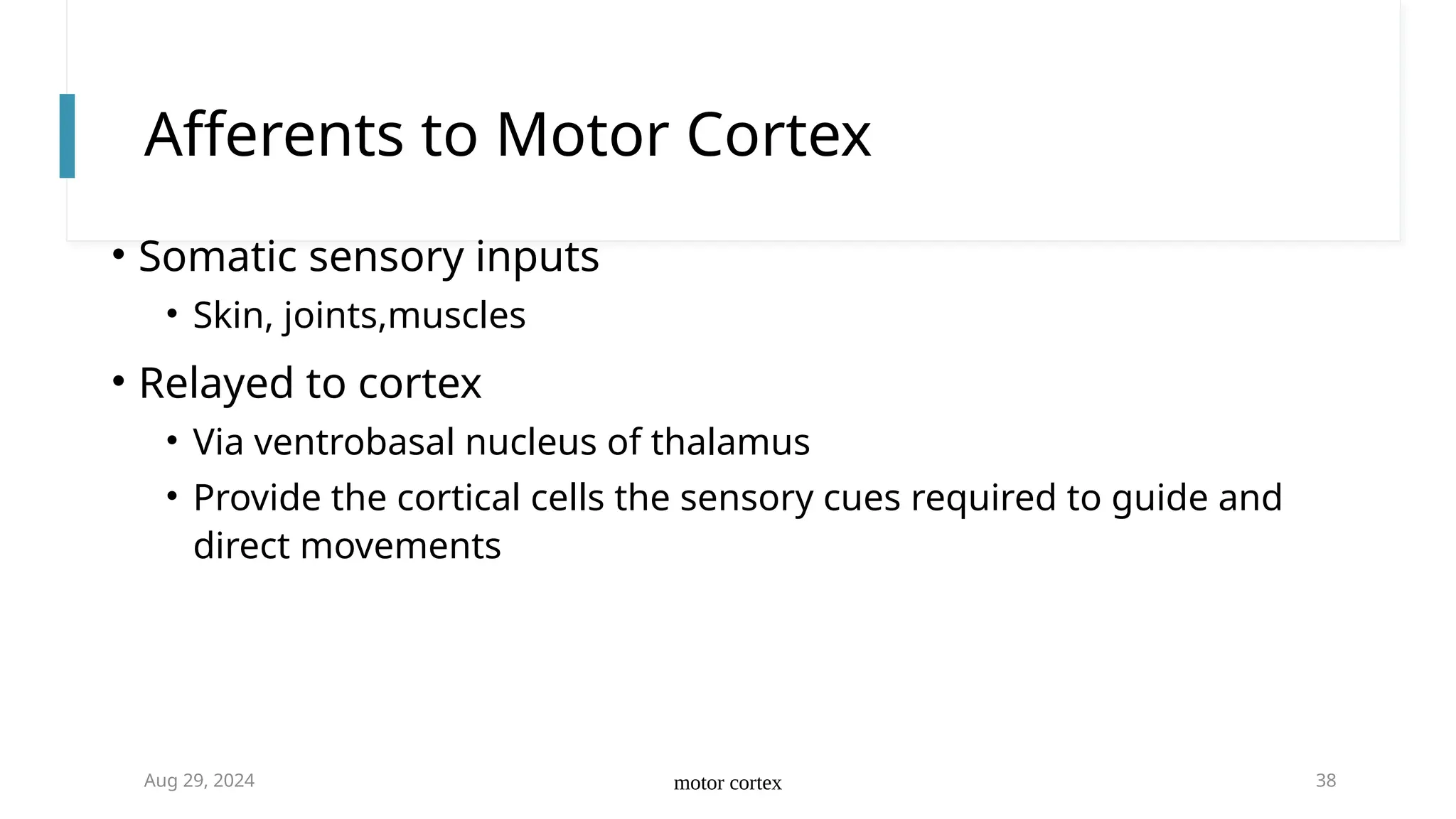 6 The Motor System physiology slides.pptx