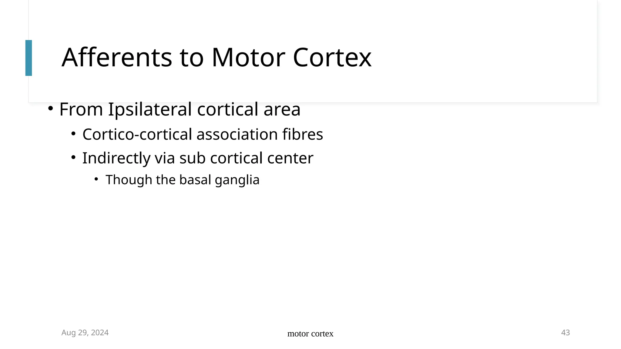 6 The Motor System physiology slides.pptx