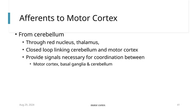 6 The Motor System physiology slides.pptx