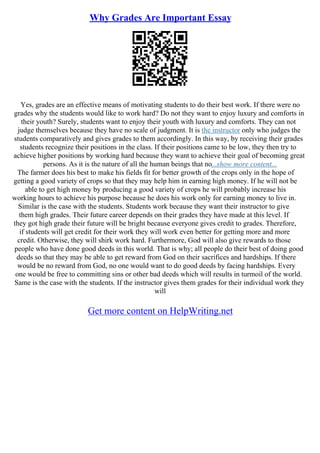 7th Grade Essay Examples