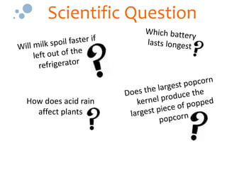 6th grade science fair | PPTX
