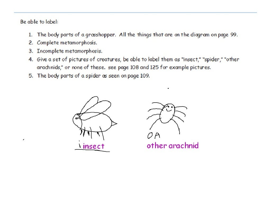 6th Grade Science Study Guide Answers 6th-grade-science-study-guide-answers