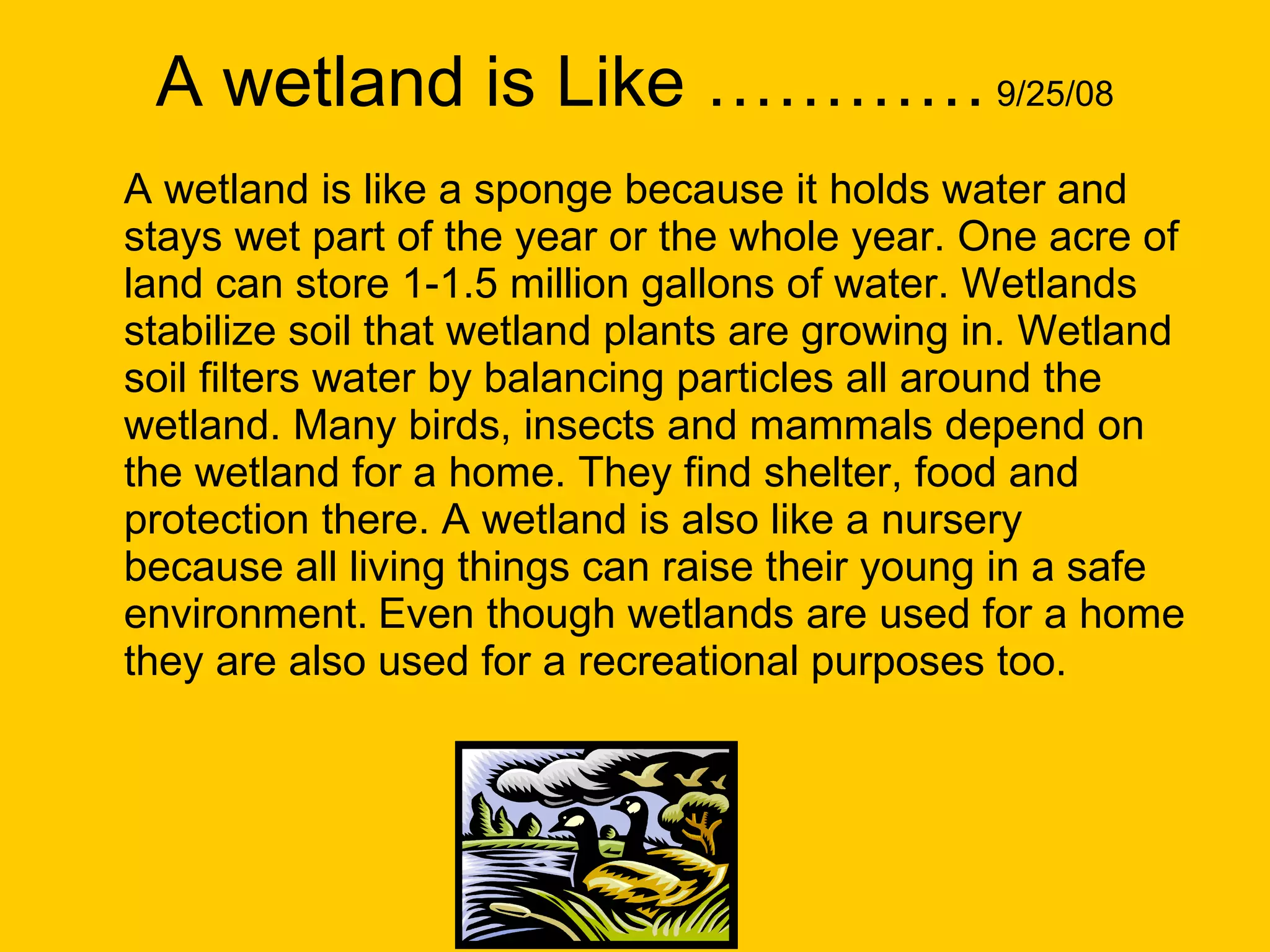 6th Grade Science Wetlands | PPT