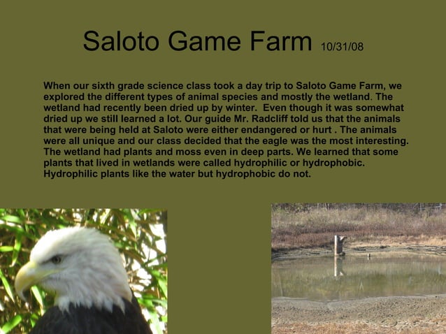 6th Grade Science Wetlands | PPT