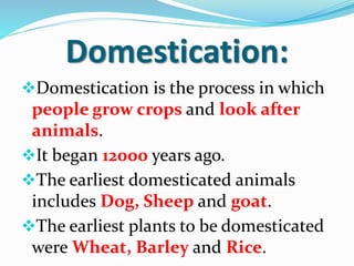 NCERT History Class-6 Unit-02 From Hunting-Gathering to growing food ...
