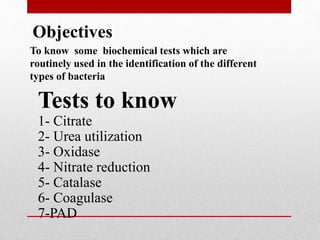 6th lab 2nd part biochemical tests | PPTX