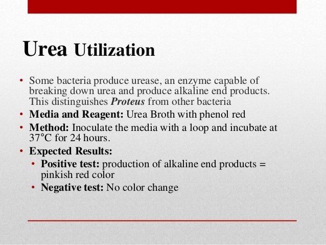 6th lab 2nd part biochemical tests