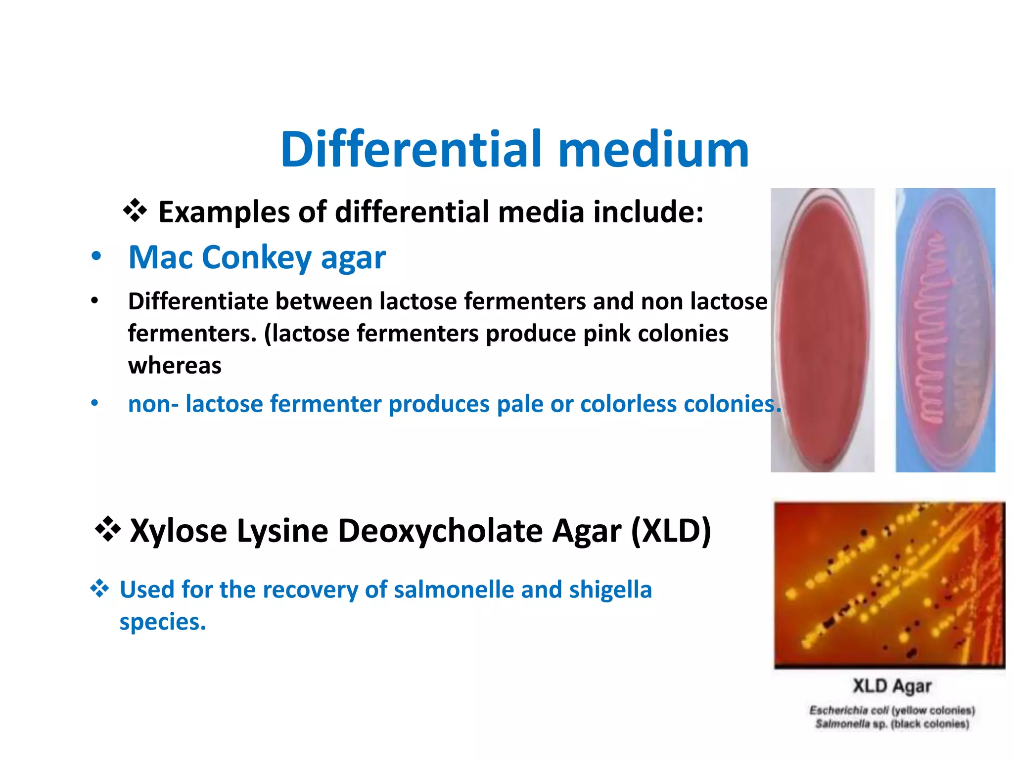culture media | PPTX