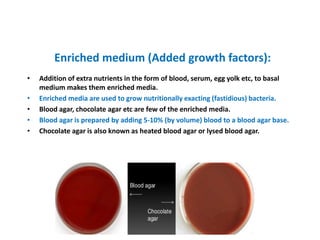 culture media | PPTX