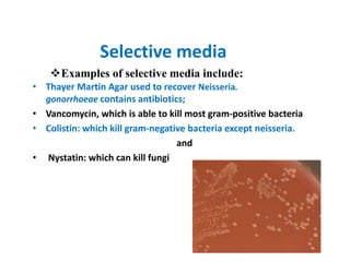 culture media | PPTX