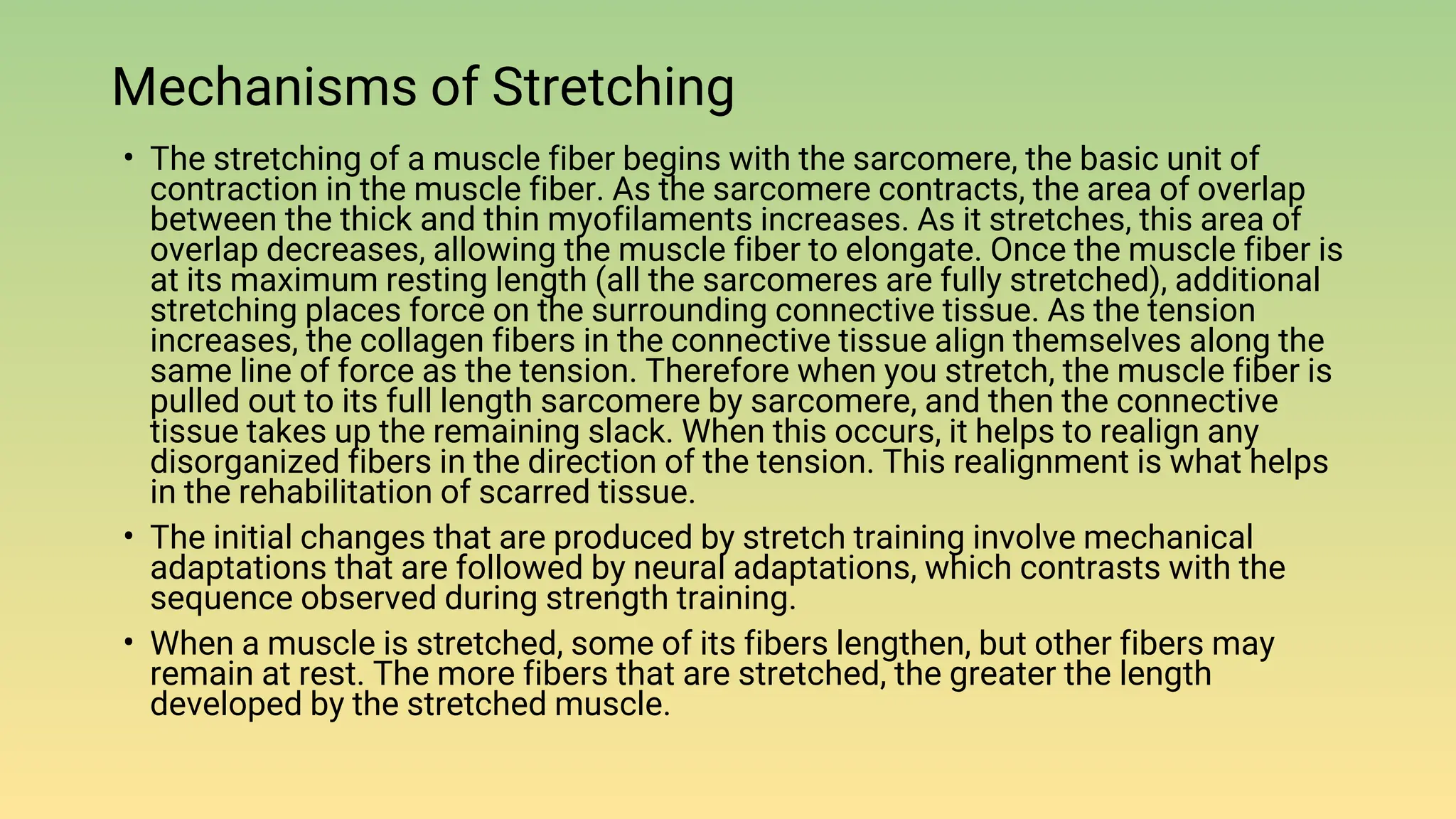 6th lec stretching.pdf