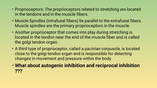 6th lec stretching.pdf
