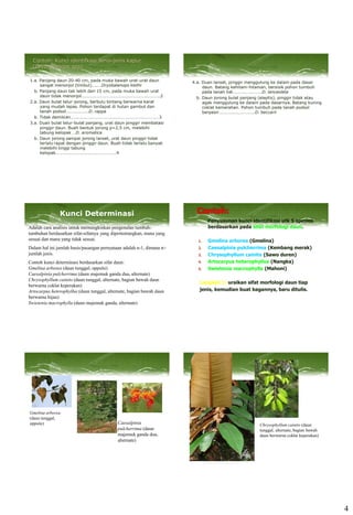 6th lecturerev | PDF