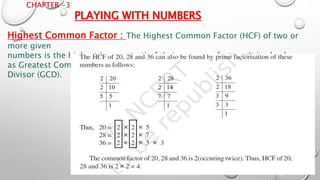6th math chapter 3 .pptx