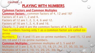 6th math chapter 3 .pptx