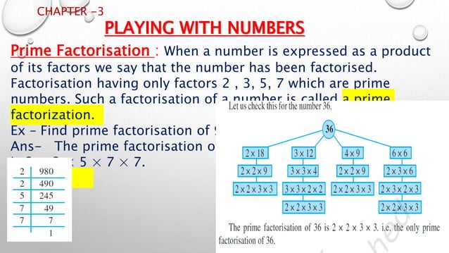 6th math chapter 3 .pptx