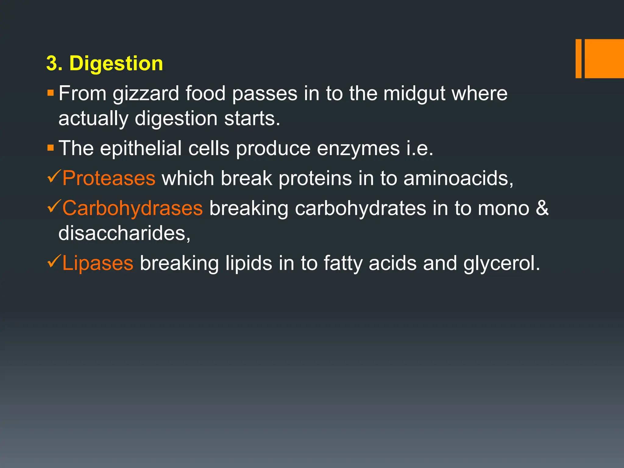 6th Module, insects (respiratory, digestive and integument system)and ...