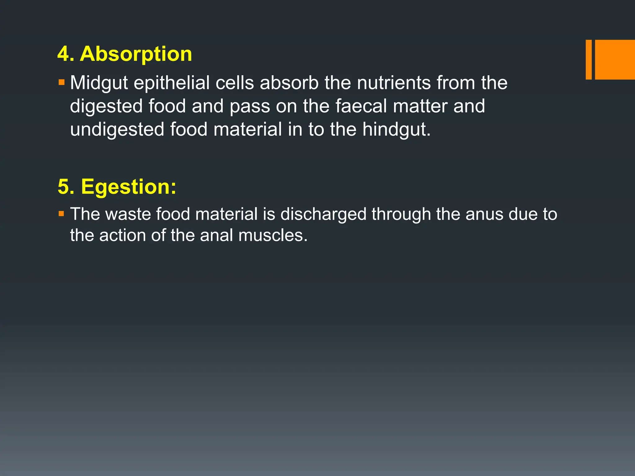 6th Module, insects (respiratory, digestive and integument system)and ...
