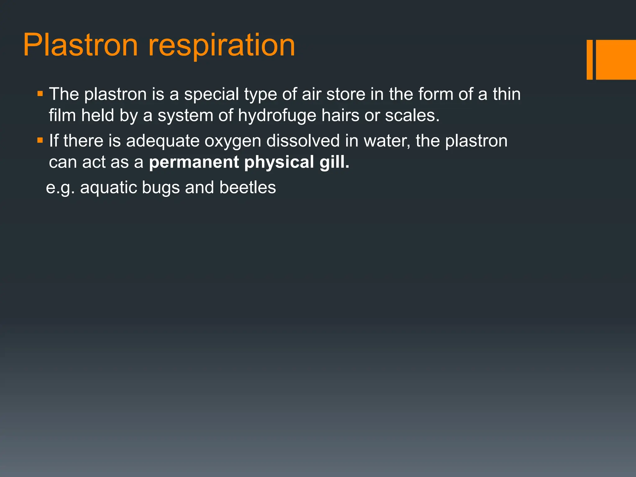 6th Module, insects (respiratory, digestive and integument system)and ...