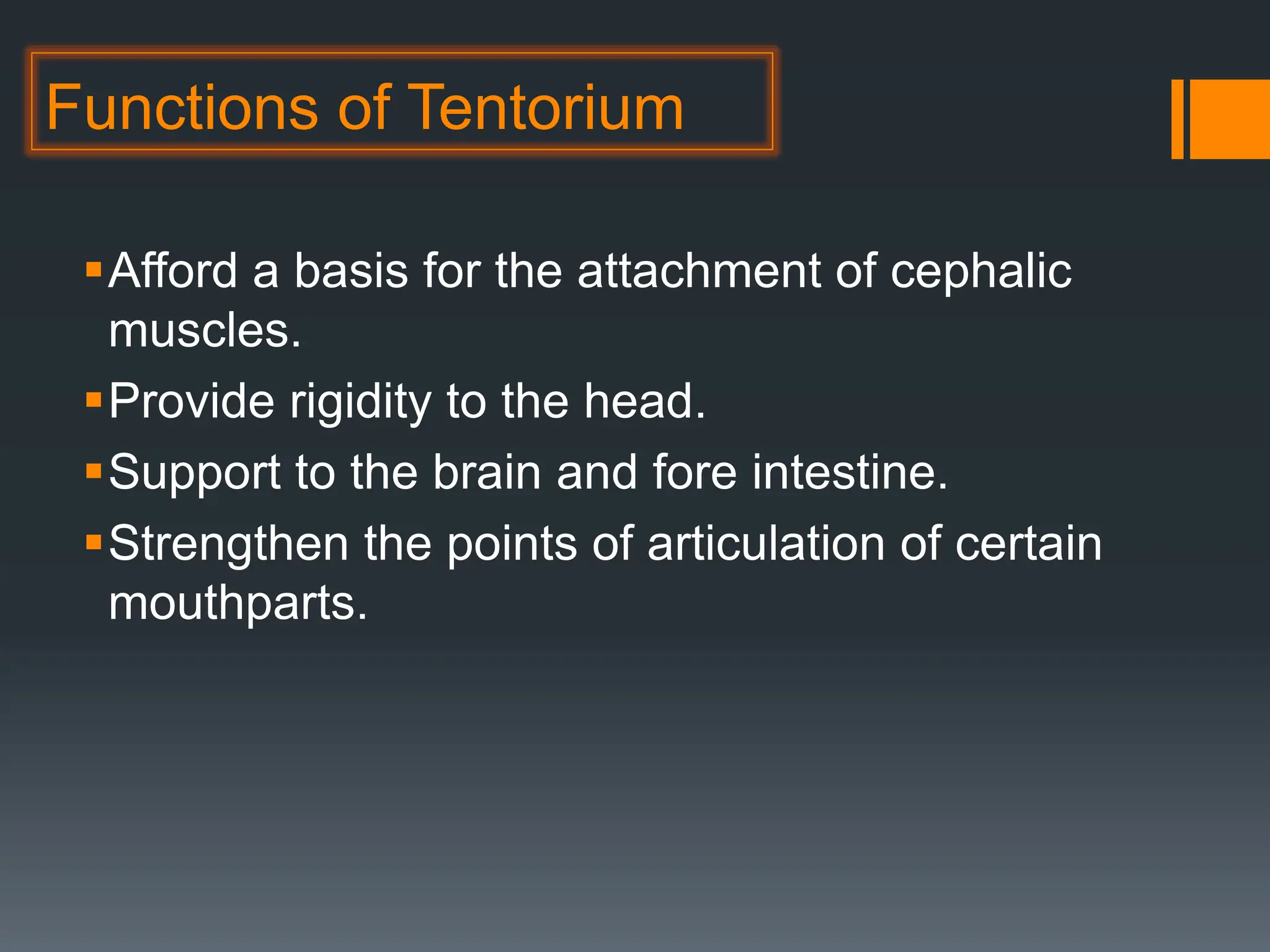 6th Module, insects (respiratory, digestive and integument system)and ...