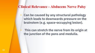 6th nerve, Dr M Saquib | PPTX