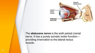 6th nerve, Dr M Saquib | PPTX