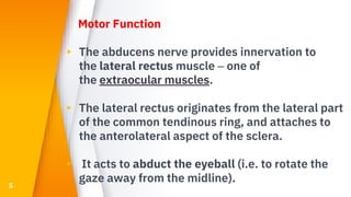 6th nerve, Dr M Saquib | PPTX