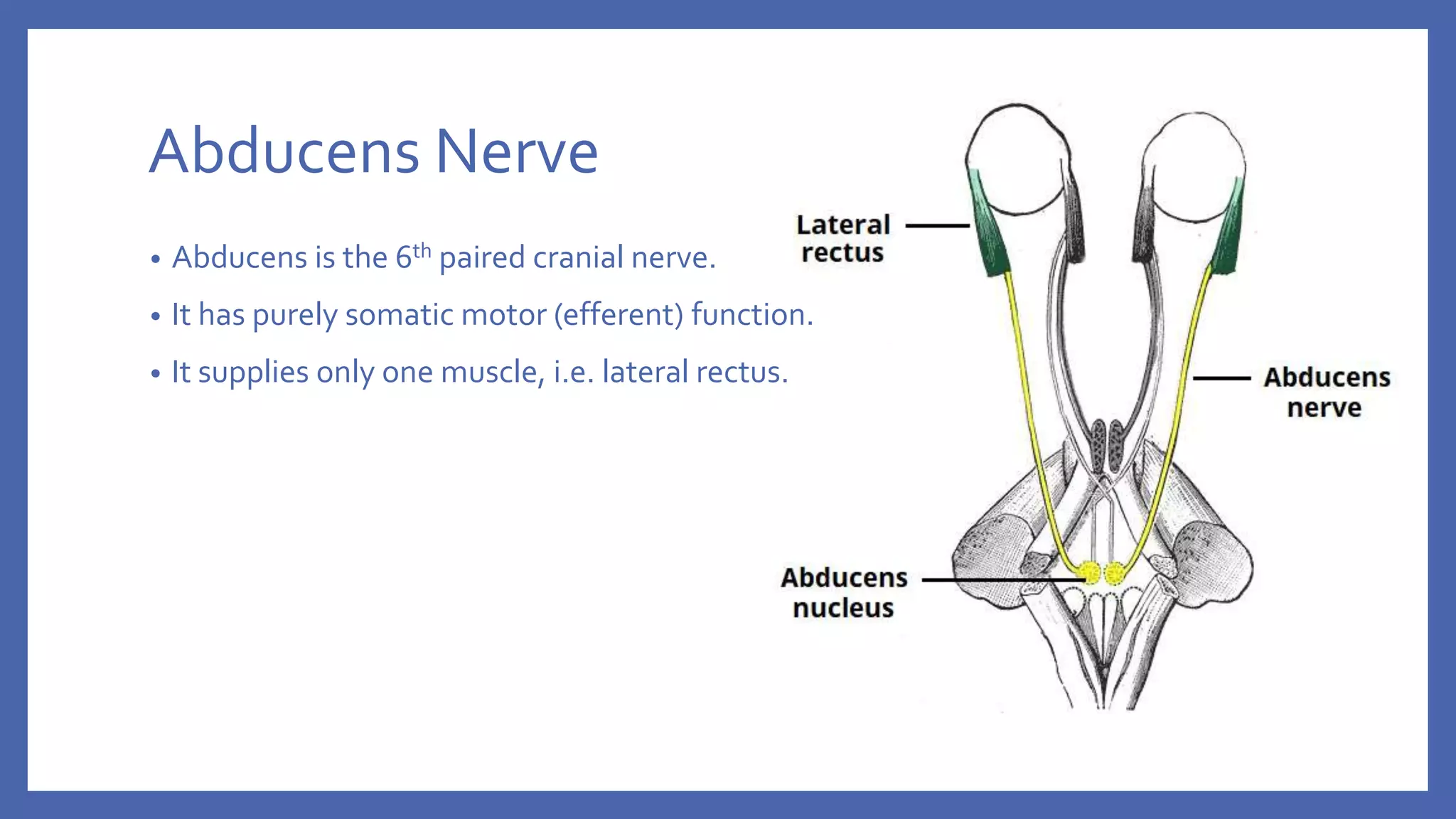 6th Nerve Palsy | PPTX