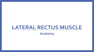 6th Nerve Palsy | PPTX