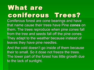 6th Period Coniferous | PPT