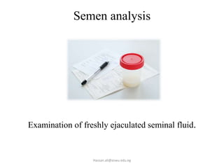 semen analysis | PPTX