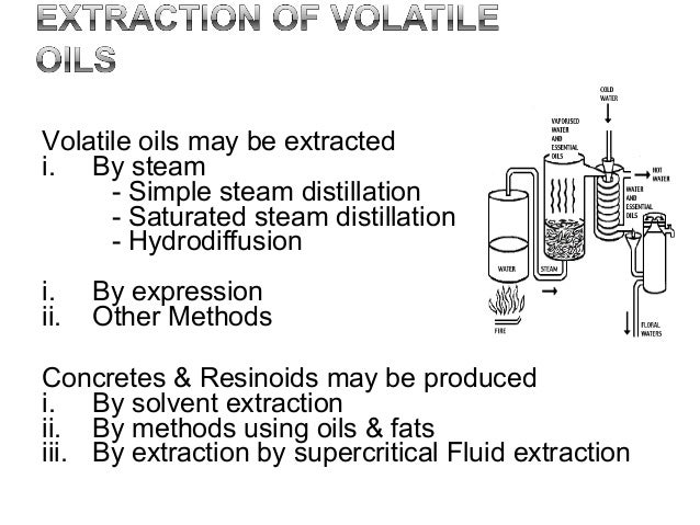 "Volatile Oil "by Debanjan Chatterjee & Arunit Maji