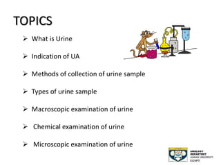 urinalysis | PPTX
