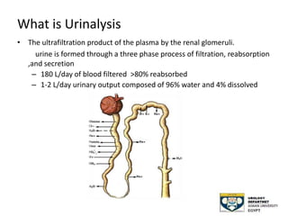 urinalysis | PPTX