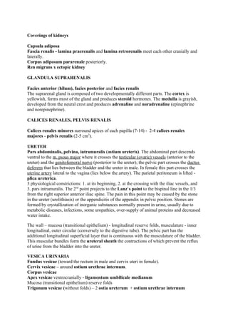 6th week -_urinary_system | PDF