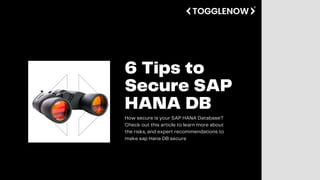 SAP HANA DB | 6 Best Tips To Secure HANA Database | PDF